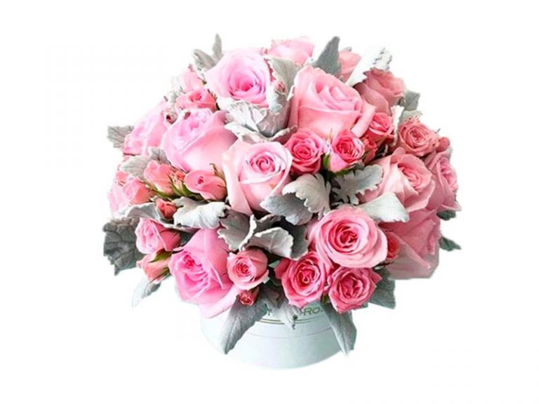 Rosas y Mini rosas - Boutique-Rosé